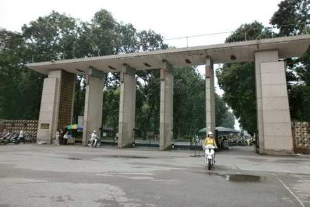 Không lấy đất công viên Thống Nhất làm bãi đỗ xe ngầm tại Hà Nội