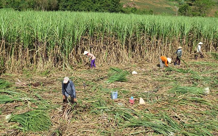 Đất HNK Là Gì? 5 Điều Cần Lưu Ý Khi Mua Đất HNK