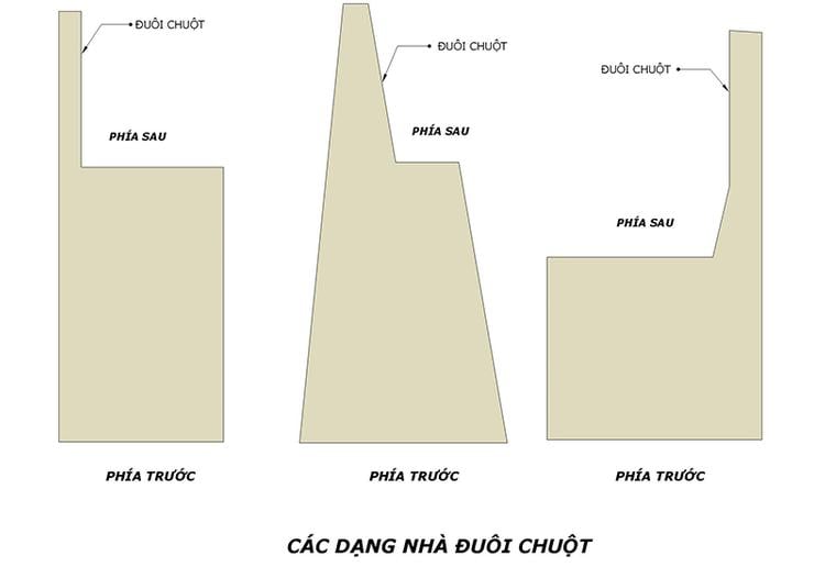 Đất Đầu Voi Đuôi Chuột - Hóa Giải Ngay Bằng 3 Cách Đơn Giản!