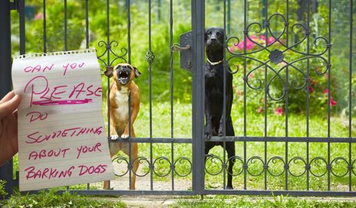 15 Annoying Things Neighbours Do And What You Can Do About It!