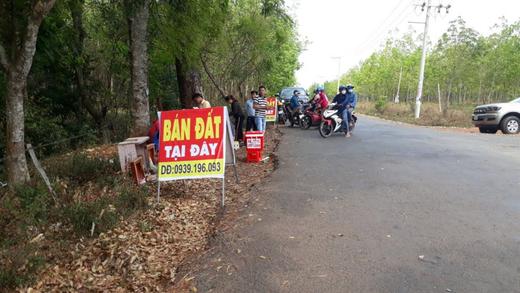 1,5 Tỷ Đồng Nên "Bắt Đáy" Đầu Tư Đất Nền Ở Đâu Ven TP.HCM?