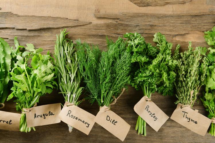 8 Must have Herbs To Grow In Your Kitchen Garden Iproperty my