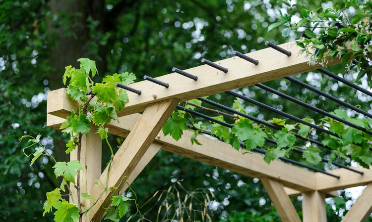 10 Model Kanopi Teras Depan Rumah Minimalis, Bikin Rumah Aesthetic Abis!