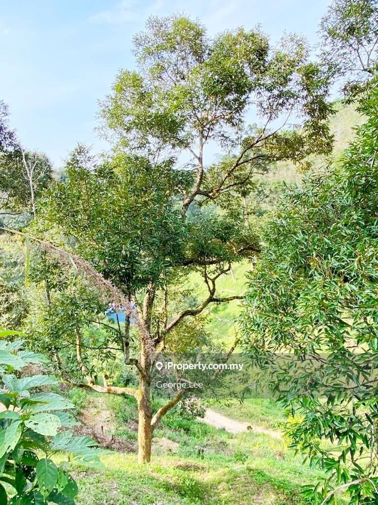 RAUB, Raub for sale - RM1995000 | iProperty Malaysia