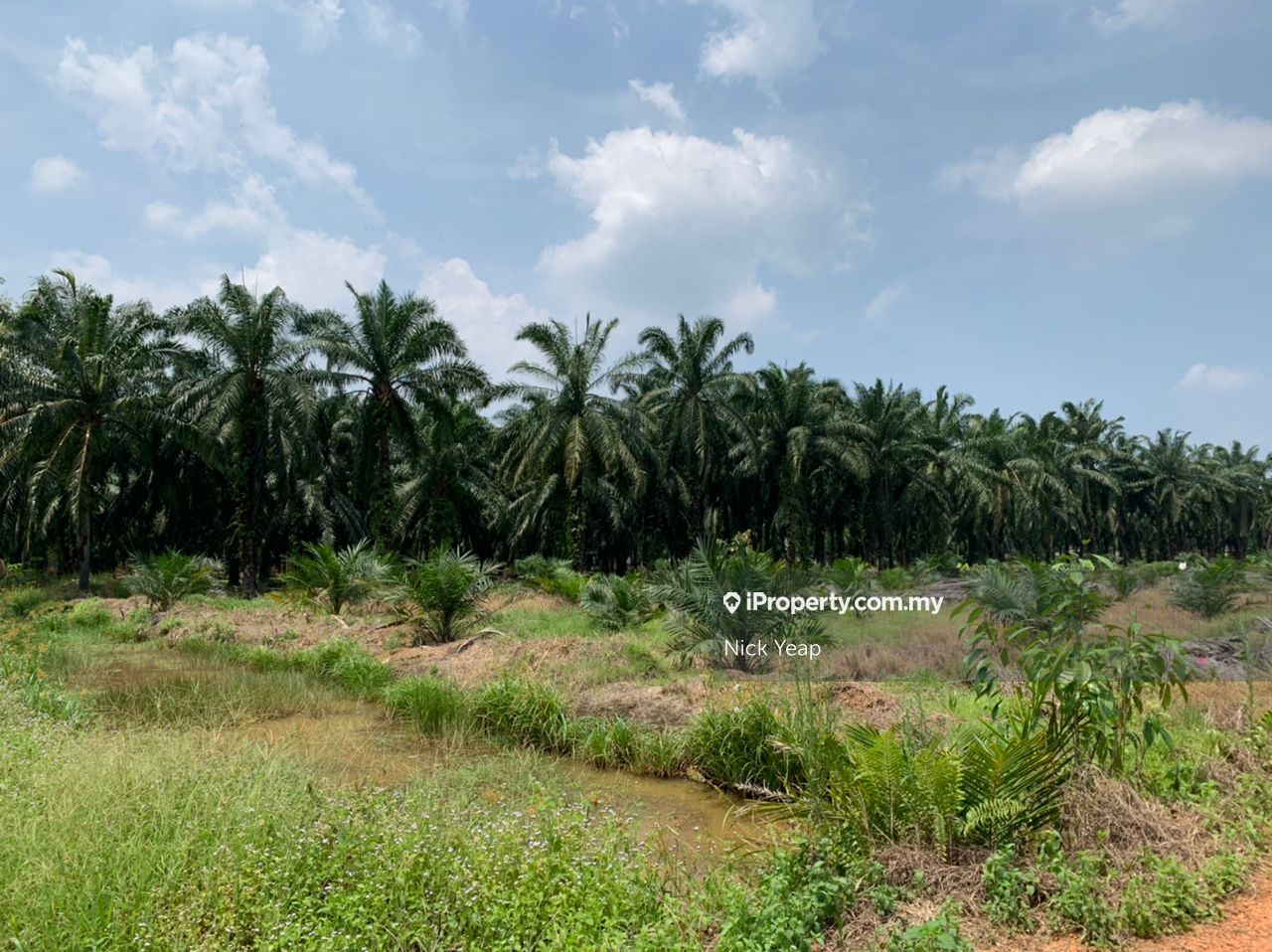 Ijok, Batang Berjuntai, Ijok for sale - RM8500000 | iProperty Malaysia