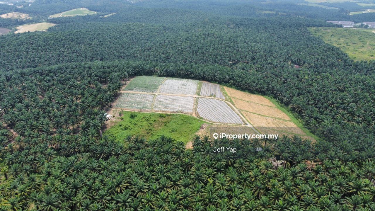Pulai Indah, Ulu Choh, Iskandar Puteri, Iskandar Puteri (Nusajaya) for ...
