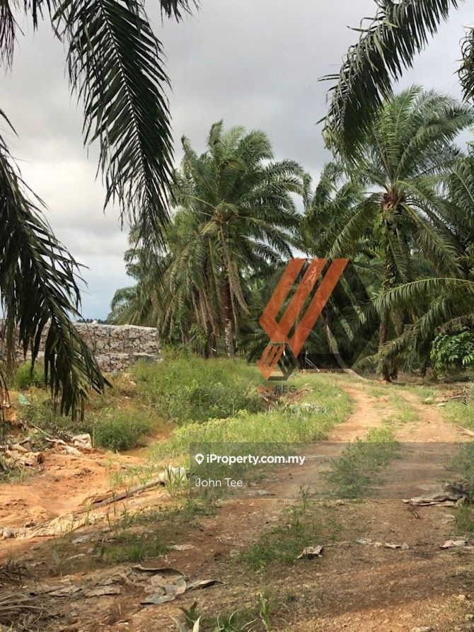 Ijok Agriculture Land, Ijok Agriculture Land For Rent, Ijok for rent ...