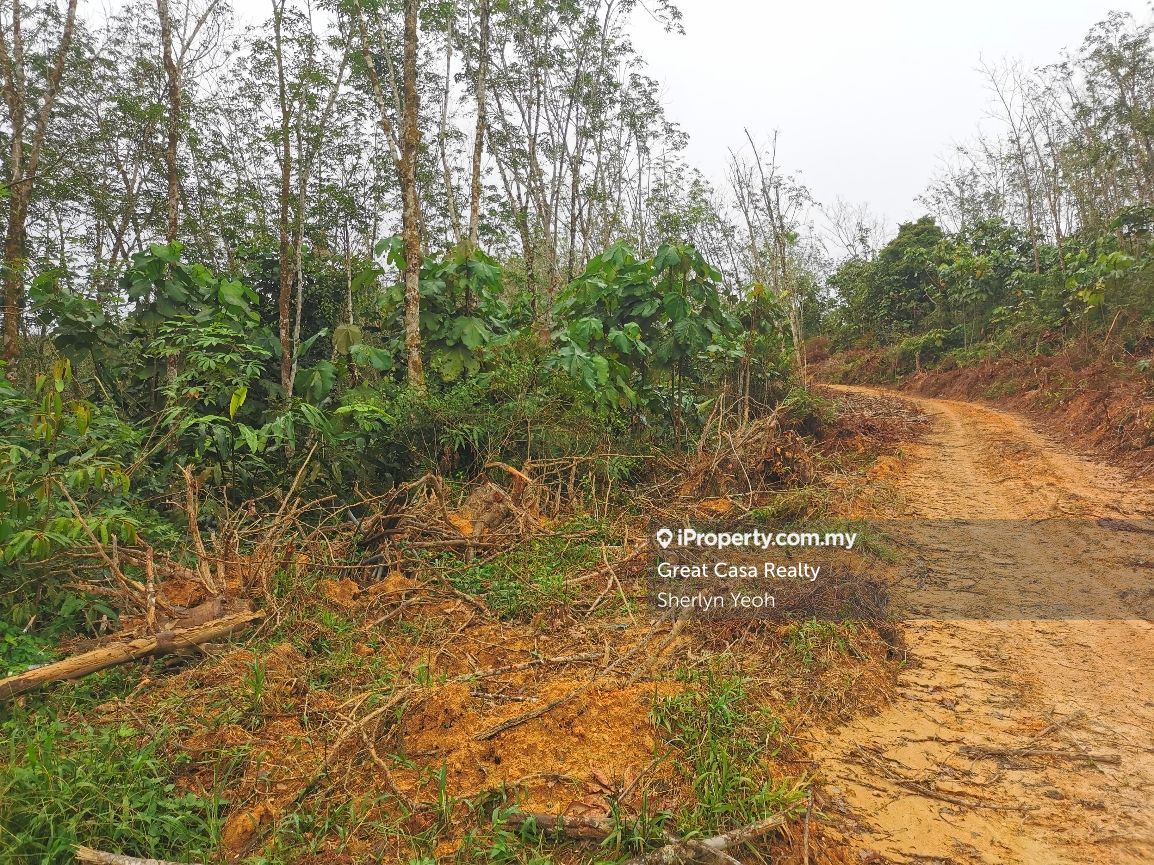 Slim, Felda Trolak Utara, Agricultural Land, Felda Trolak Utara, Mukim ...