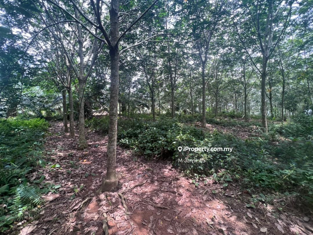 Buloh Kasap, Segamat for sale - RM181800 | iProperty Malaysia