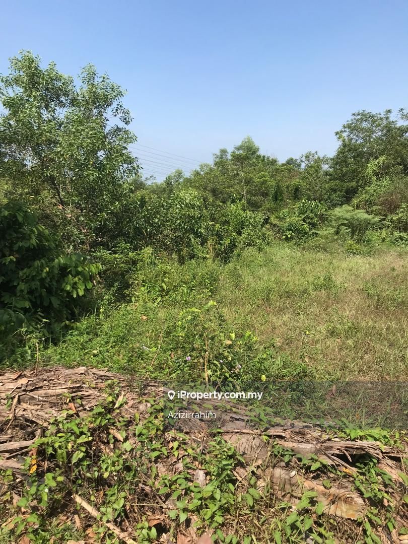 Agriculture land Sungai Merab Sepang Dengkil, Dengkil for sale ...