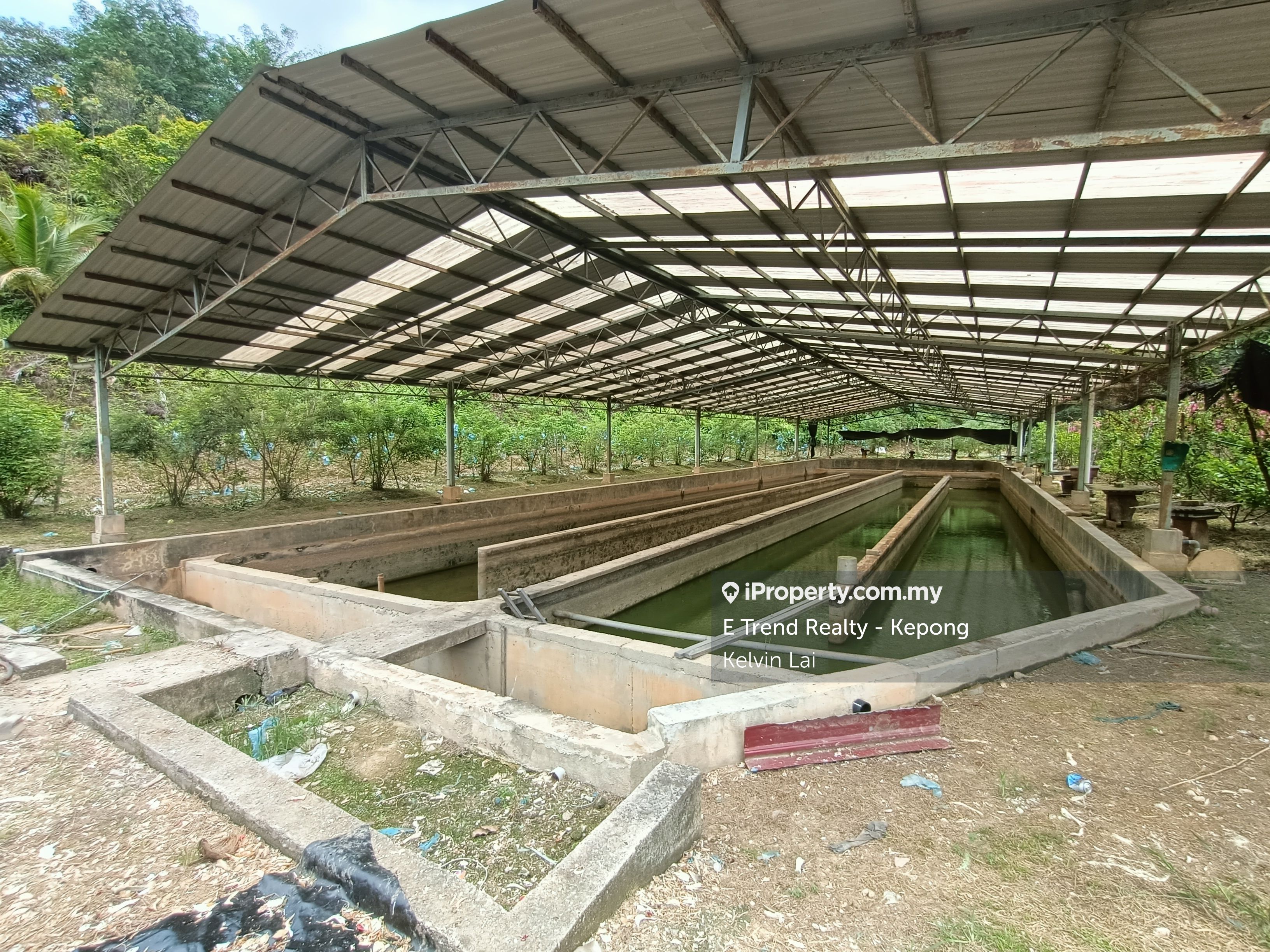 Fish Farm Bukit Beruntung, Bukit Beruntung, Rawang for sale - RM3200000 ...