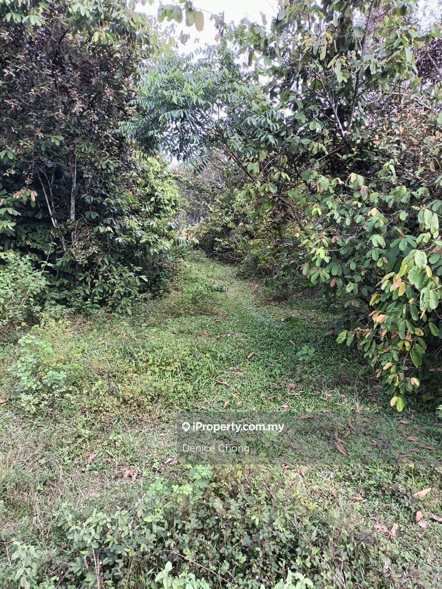 Gopeng Ipoh Country Park Mukim Teja Gopeng Agricultural Land For Sale My 