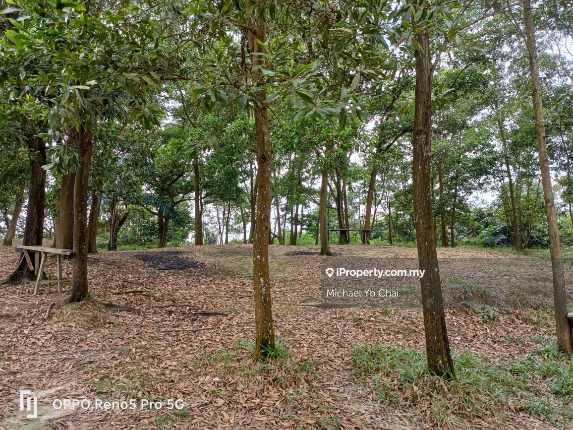 Taman Bukit Serdang, Seri Kembangan for sale - RM9900000 | iProperty ...