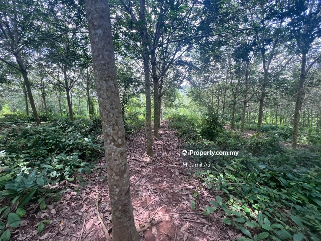 Buloh Kasap, Segamat for sale - RM150000 | iProperty Malaysia