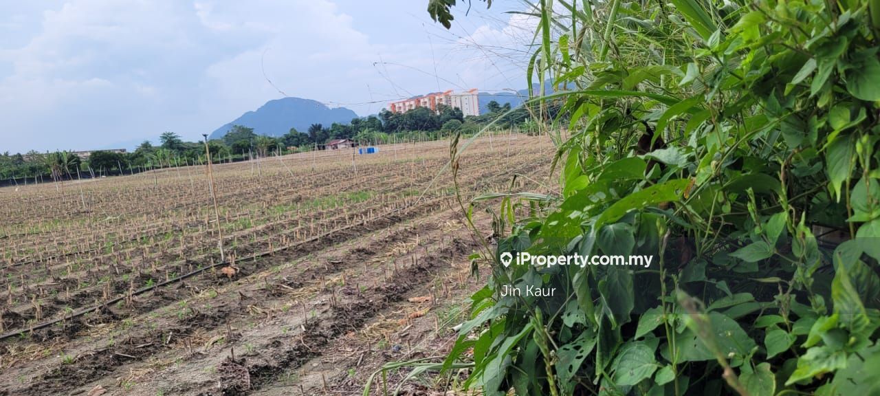 Agriculture Freehold Land Simpang Pilai Mukim Sungei Raya Gopeng For Sale Rm8000000 