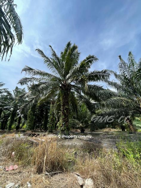 Agricultural Land for sale at Taman Johan Setia, Klang - RM 1,800,000 ...