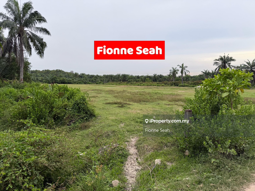 Agricultural Land for rent at Juru - RM 6,000 per month | iProperty ...