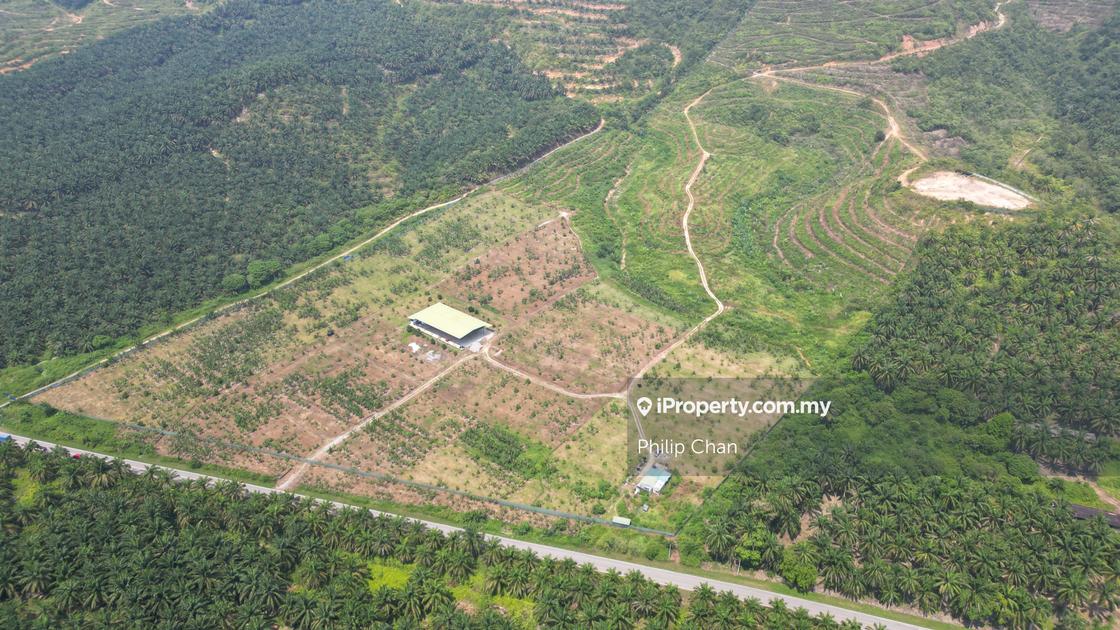 Agricultural Land for sale at Cheroh, Raub - RM 20,327,500 | iProperty ...