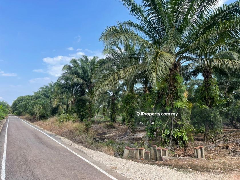 Agricultural Land for sale at Kampung Parit Sikom, Pontian - RM ...