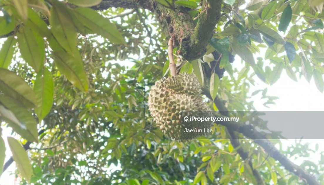 Agricultural Land for sale at Cheroh, Raub - RM 3,000,000 | iProperty ...