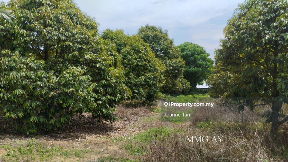 Simpang Pertang for sale - RM10681240 | iProperty Malaysia