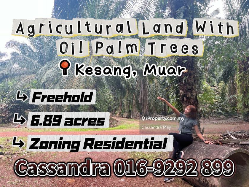 Agricultural Land for sale at Kesang, Muar - RM 4,200,000 | iProperty ...