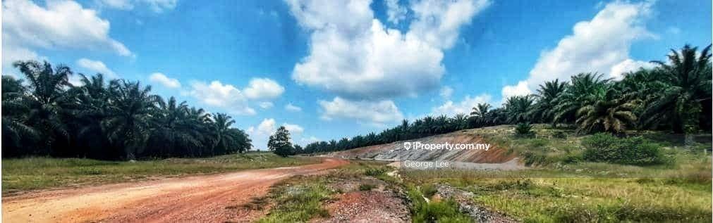 Agricultural Land for sale at LADANG BUKIT KUIN, Kuantan - RM ...