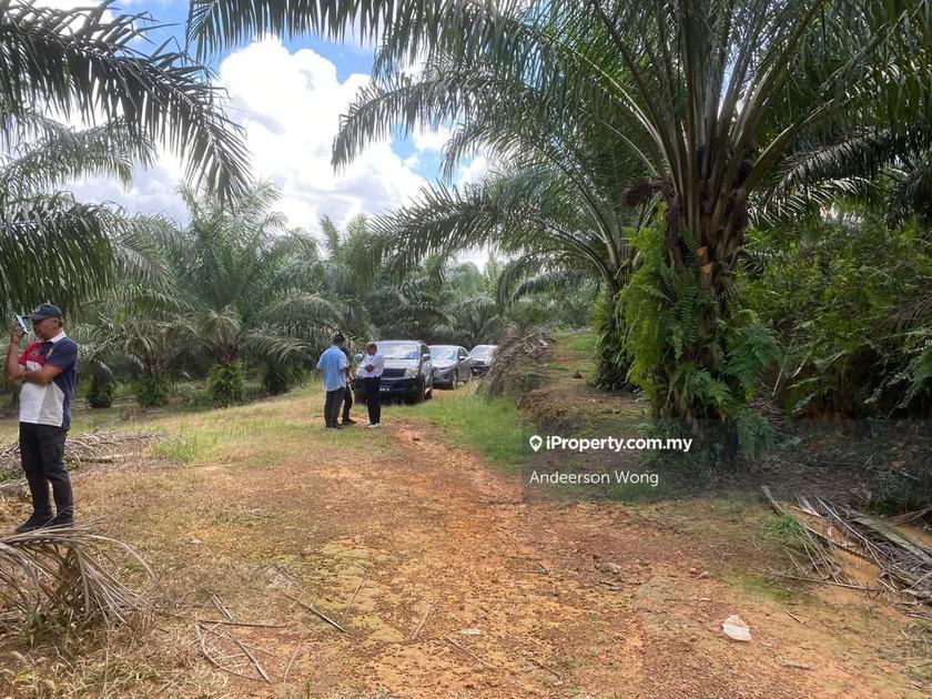 Agricultural Land for sale at Rompin - RM 90,000 | iProperty Malaysia
