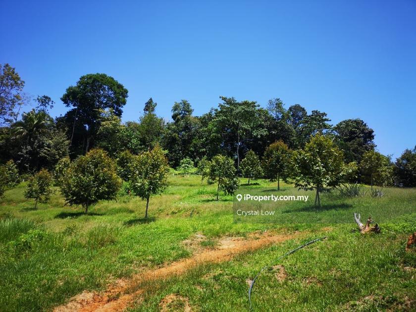 Agricultural Land for sale at Raub, Mukim Sega, Kampung Jeruas - RM ...