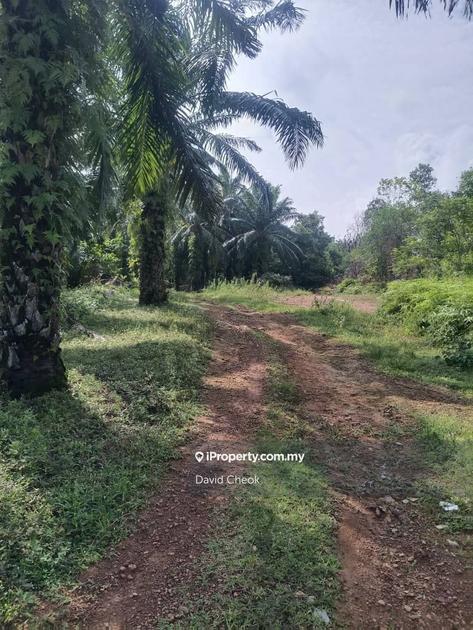 Agricultural Land for sale at New Jimah, Lukut, Port Dickson, Main road ...
