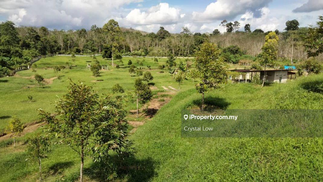 Agricultural Land for sale at Raub, Dong, Kampung Durian Sebatang ...