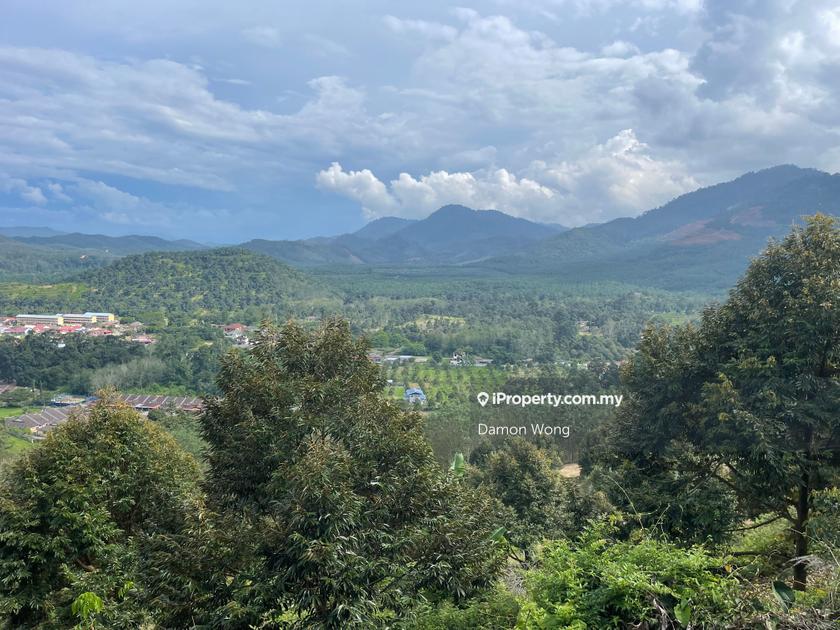 102 acres freehold land in Karak Telemong, Telemong, Bentong for sale ...