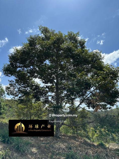 Agricultural Land for sale at junjong, Kulim - RM 4,500,000 | iProperty ...