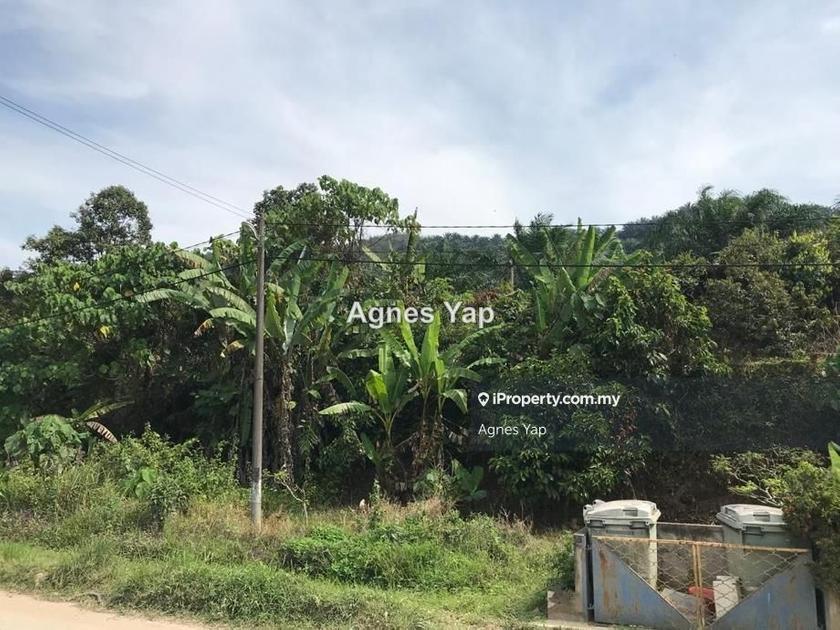 Agricultural Land for sale at Raub , Mukim Traas, Raub - RM 4,968,000 ...