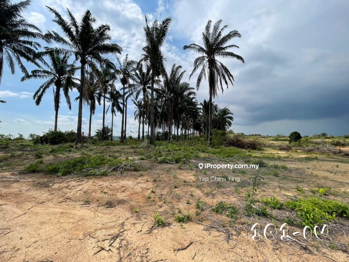Industrial Land for Sale in Sendayan Tech Valley, Labu by Yap Chew Ying