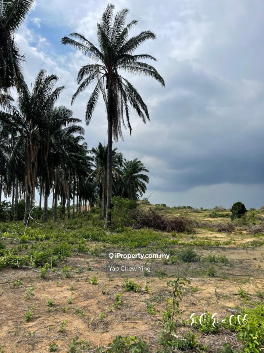 Industrial Land for Sale in Sendayan Tech Valley, Labu by Yap Chew Ying