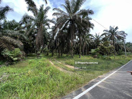 Agricultural Land for Sale in Segamat, Labis by Glenn Mak