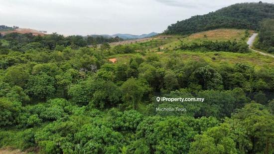 Agricultural Land for Sale in Hulu Semenyih, Semenyih by Michelle Teoh