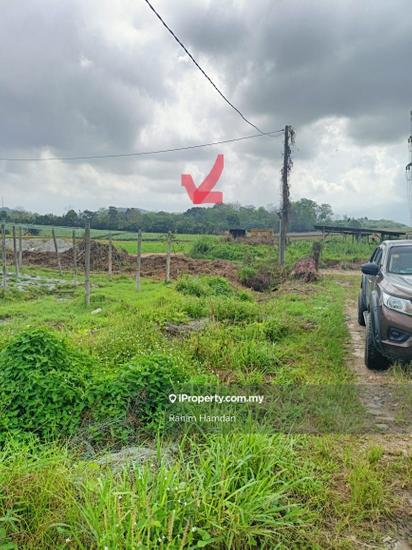 Agricultural Land for Sale in Hulu Yam Lama, Batang Kali by Rahim Hamdan