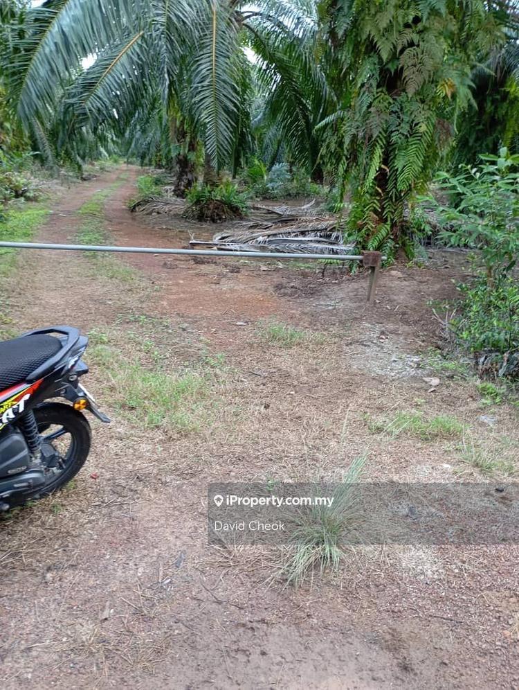 Worth Deal // Existing Palm Oil // Located at Port Dickson // 3.17 ...