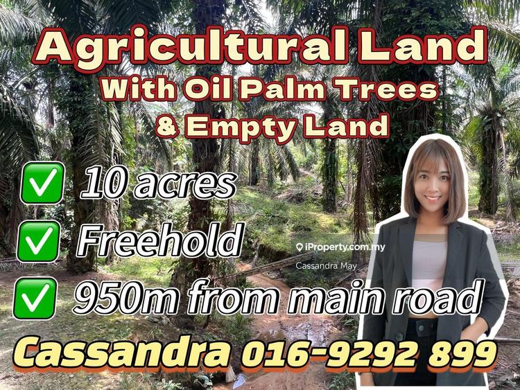 Agricultural Land for sale at Machap Umboo, Machap - RM 2,880,000 ...