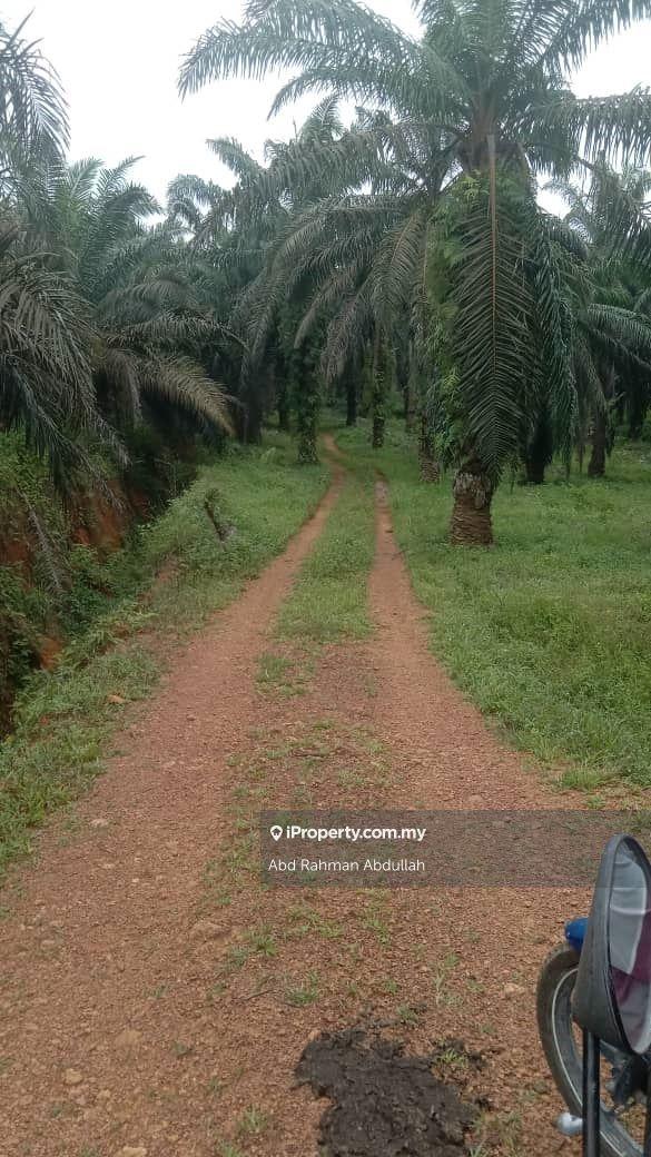 Agricultural Land for sale at Rengam - RM 145,000 | iProperty Malaysia