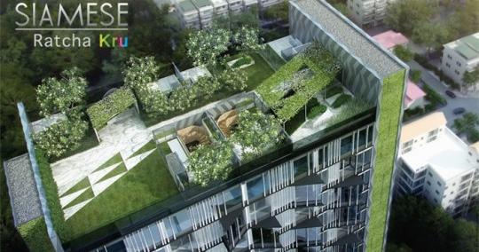 รีวิวฉบับเต็มของ Siamese ราชครู คลอดแล้ว | thinkofliving.com